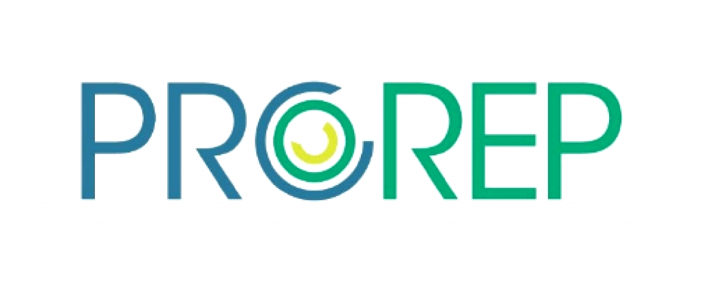 Sistema de gestión - Ley Rep Chile